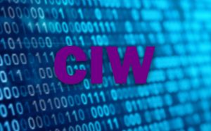 Information Delivery / Reporting / Commonwealth Information Warehouse ...